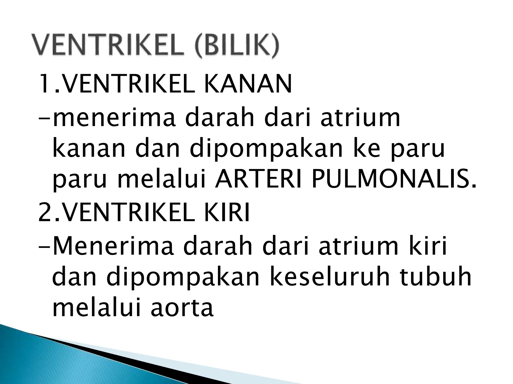 ANATOMI_DAN_FISIOLOGI_JANTUNG.pptx