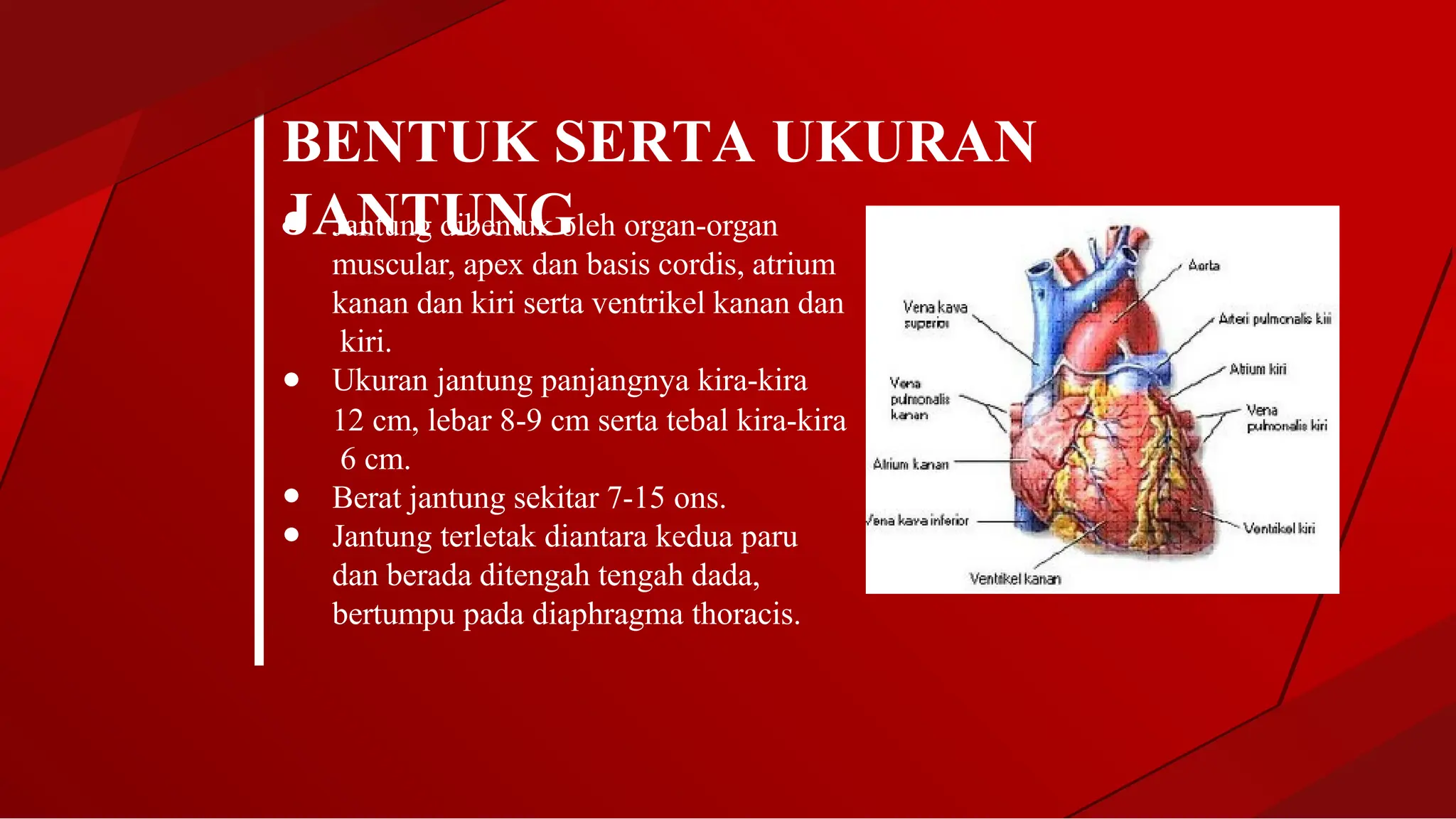 PPT Tentanganatomi dan fisiologi jantung.pptx