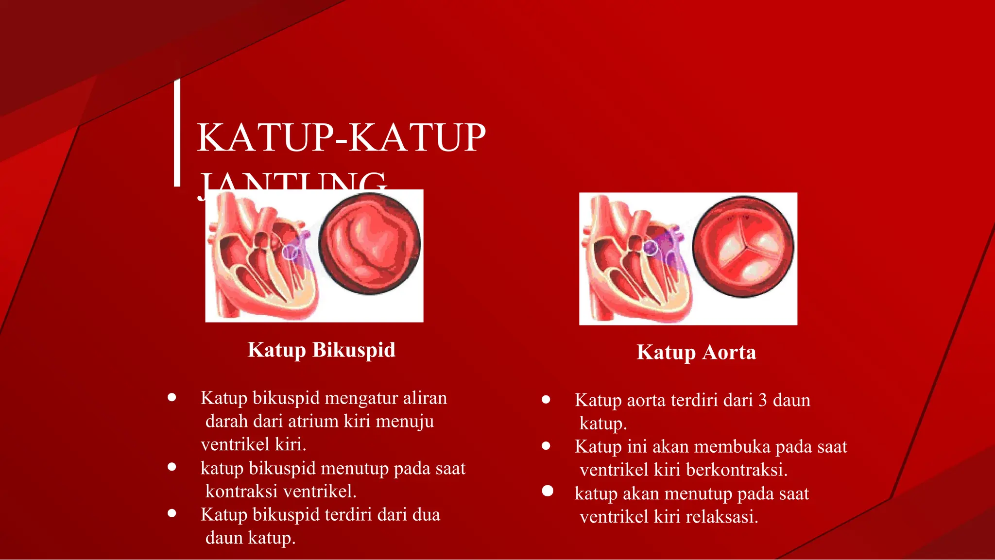 PPT Tentanganatomi dan fisiologi jantung.pptx