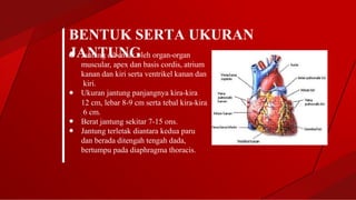 PPT Tentanganatomi dan fisiologi jantung.pptx