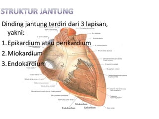 Anatomi dan fisiologi jantung | PPT