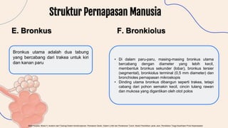 Anatomi dan Fisiologi Kardiorespirasi.pptx