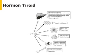 Anatomi dan Fisiologi Kelenjar Tiroid edit.pptx