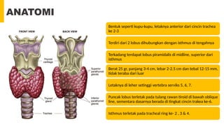 Anatomi dan Fisiologi Kelenjar Tiroid edit.pptx