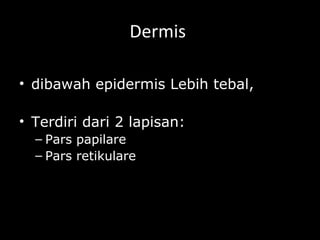 Anatomi dan fisiologi kulit | PPT