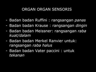 Anatomi dan fisiologi kulit | PPT