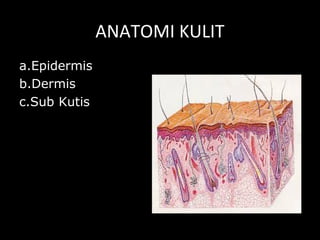 Anatomi dan fisiologi kulit | PPT