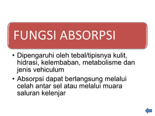 Anatomi dan Fisiologi Kulit | PPTX