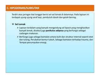 Anatomi dan Fisiologi Kulit | PPTX