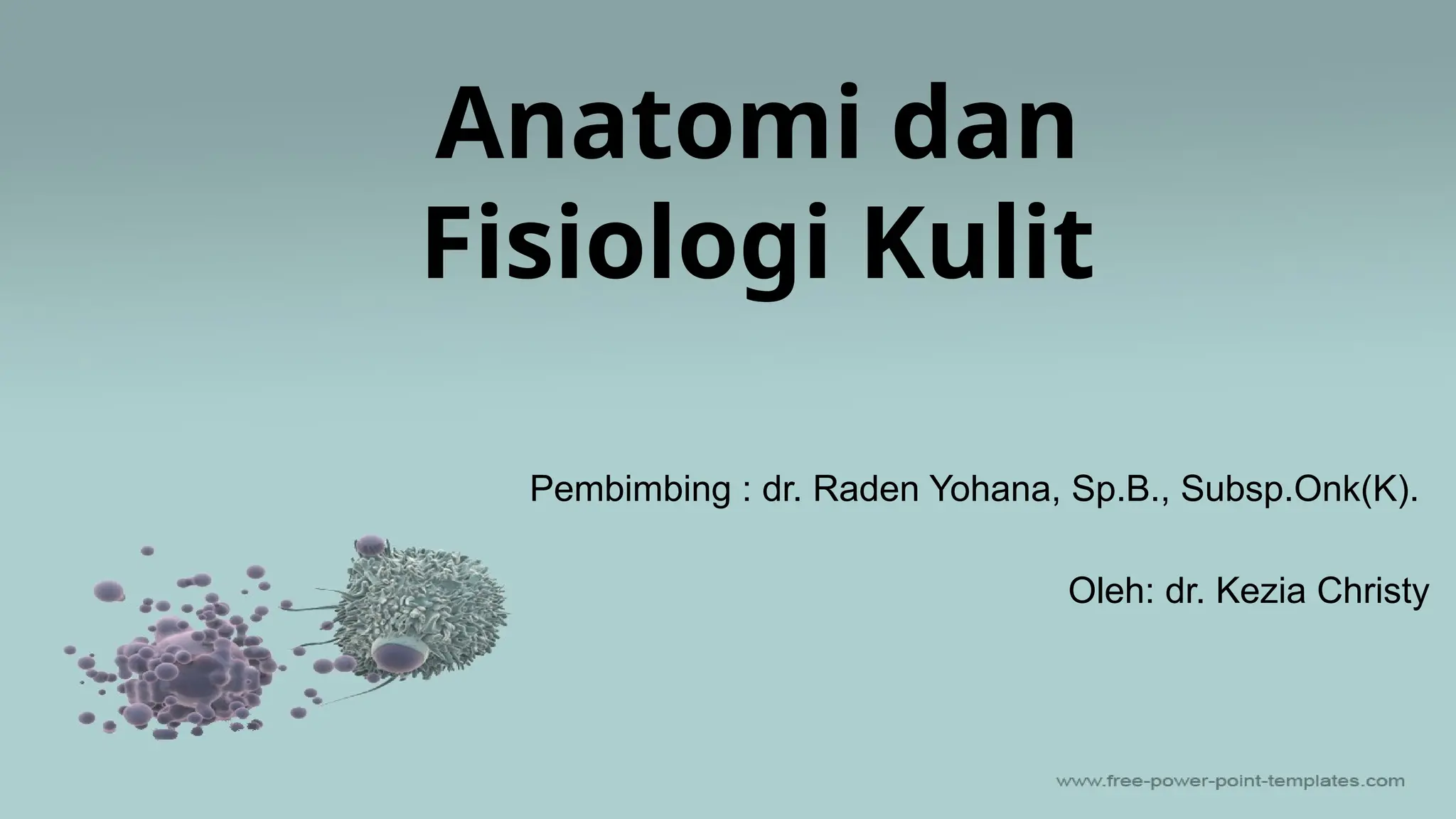 Anatomi dan Fisiologi Kulit epitel dan cutis | PPT