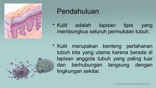Anatomi dan Fisiologi Kulit epitel dan cutis | PPT