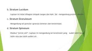 anatomi dan fisiologi kulit sistem integumen.pdf