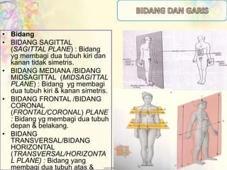 Anatomi dan fisiologi manusia | PPTX