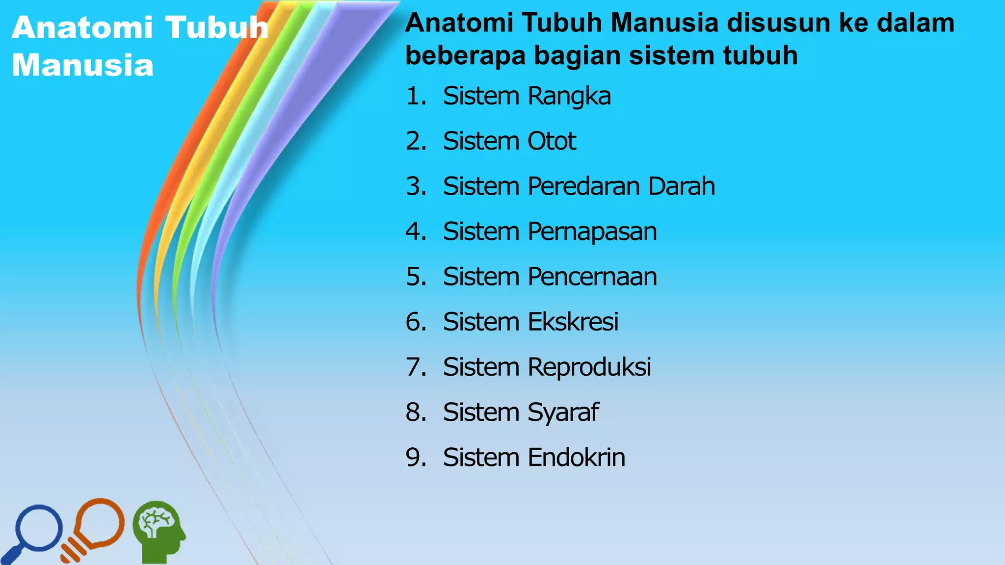 Anatomi dan Fisiologi Manusia | PPTX