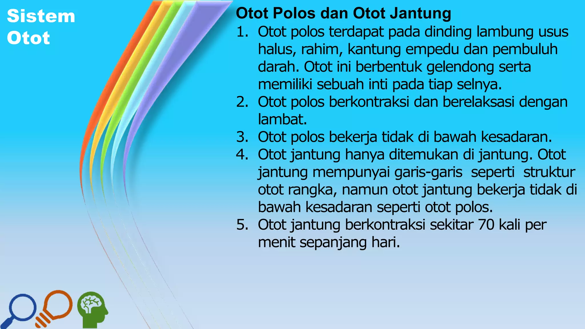 Anatomi dan Fisiologi Manusia | PPTX