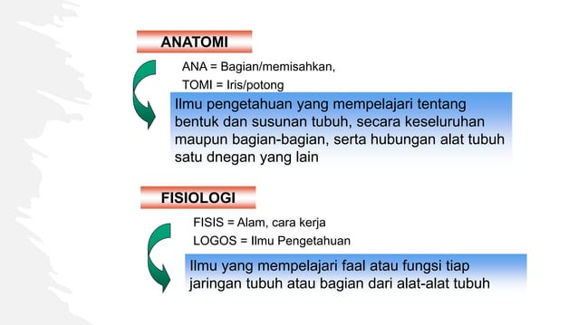 Anatomi dan Fisiologi Manusia manusia.pptx