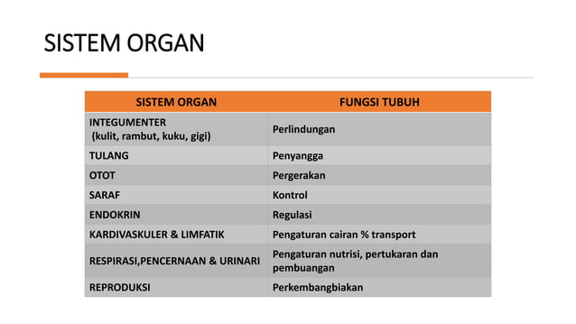 Anatomi dan Fisiologi Manusia manusia.pptx