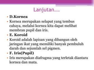 Anatomi dan fisiologi mata | PPTX