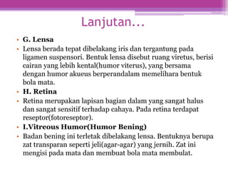 Anatomi dan fisiologi mata | PPTX