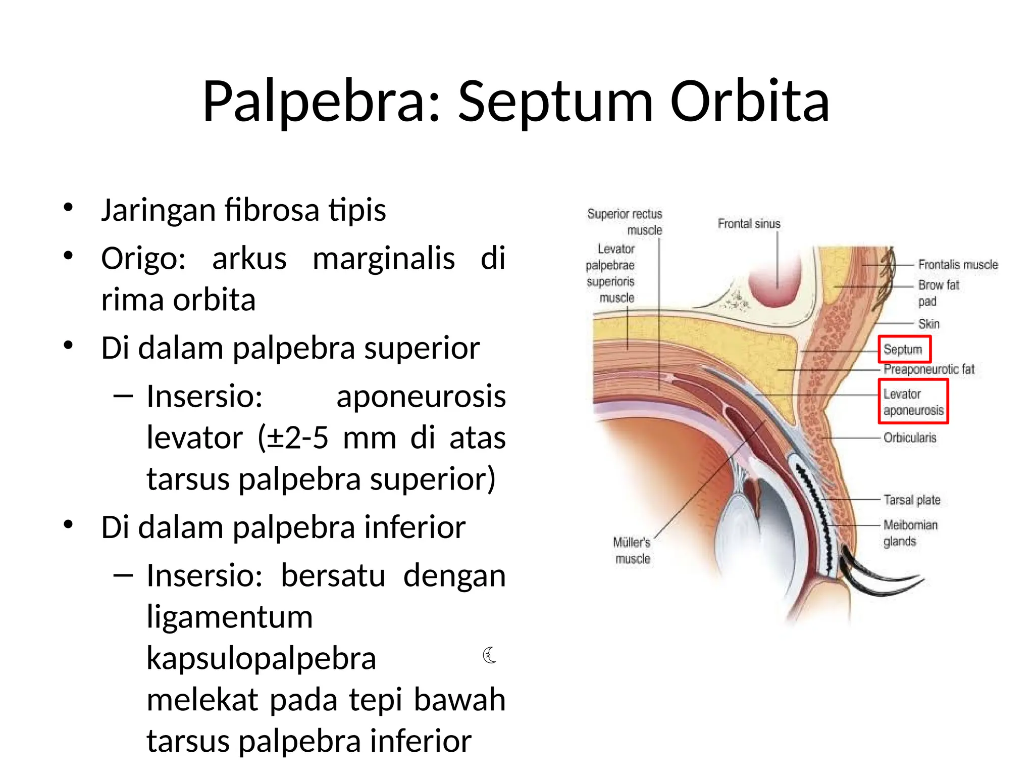 Anatomi dan Fisiologi Mata daras anatomi dan fisiologi | PPTX