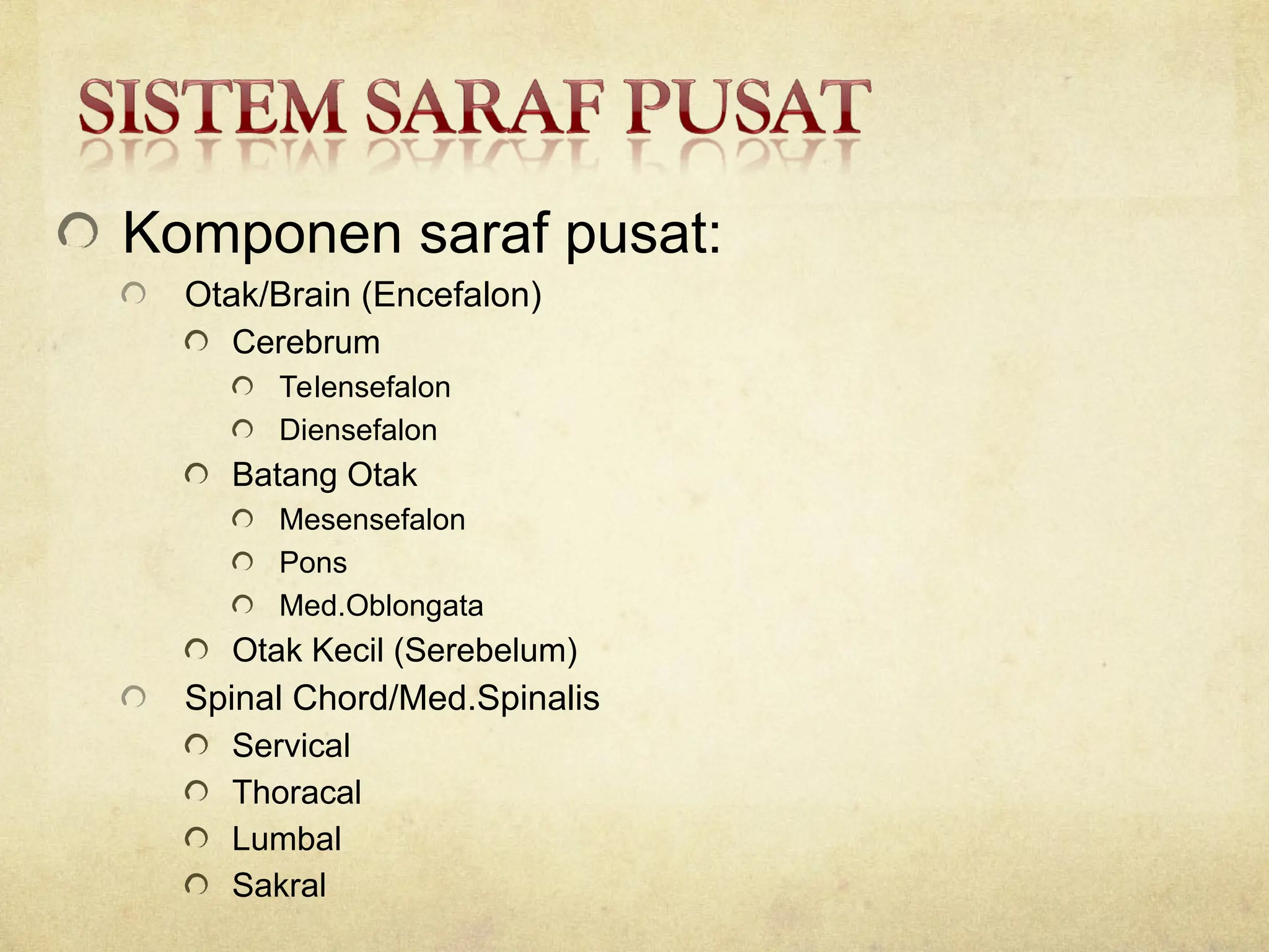 ANATOMI dan FISIOLOGI OTAK pada manusia dan fungsinya | PPT