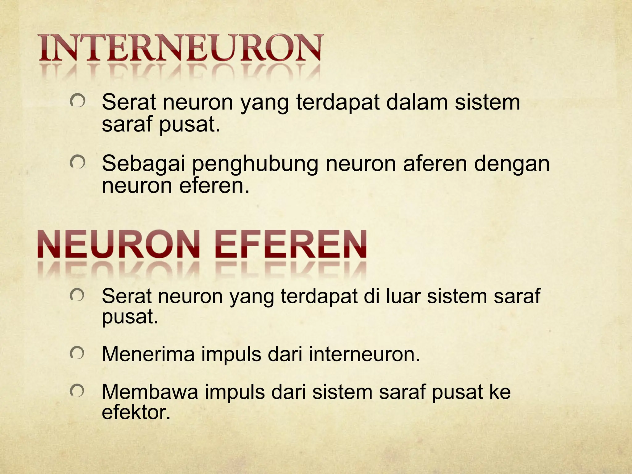 ANATOMI dan FISIOLOGI OTAK pada manusia dan fungsinya | PPT