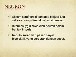 ANATOMI dan FISIOLOGI OTAK pada manusia dan fungsinya | PPT