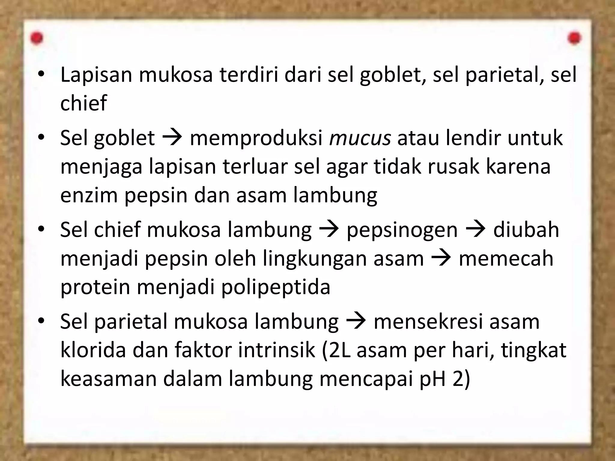 ANATOMI DAN FISIOLOGI PENCERNAAN.ppt