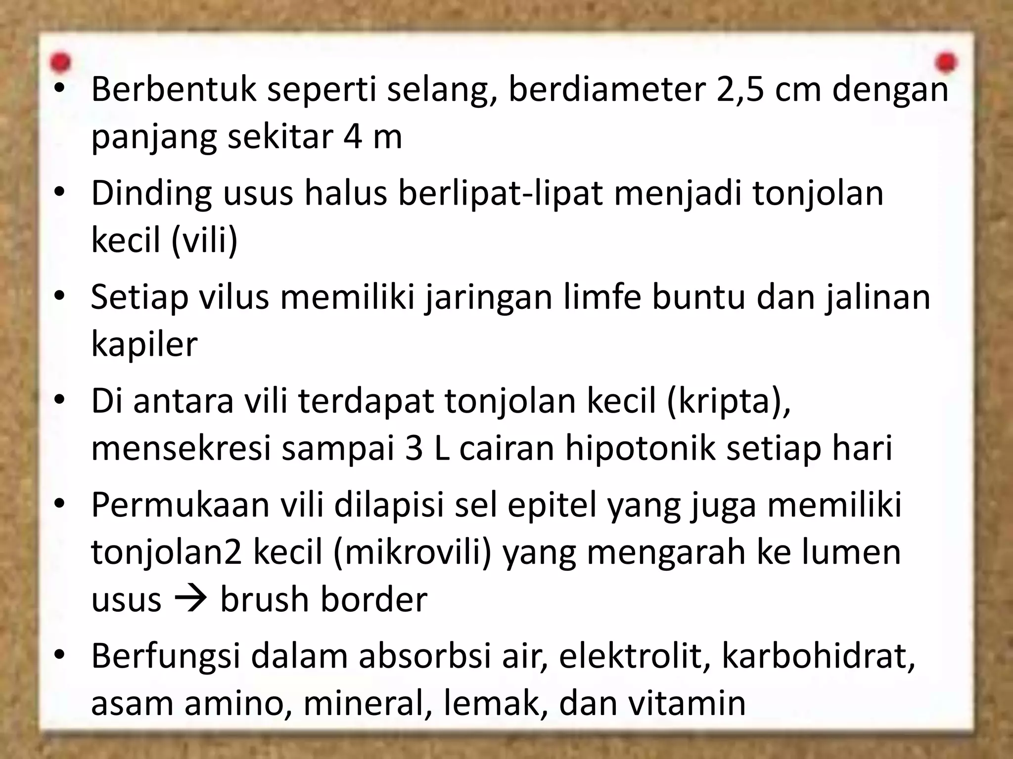 ANATOMI DAN FISIOLOGI PENCERNAAN.ppt