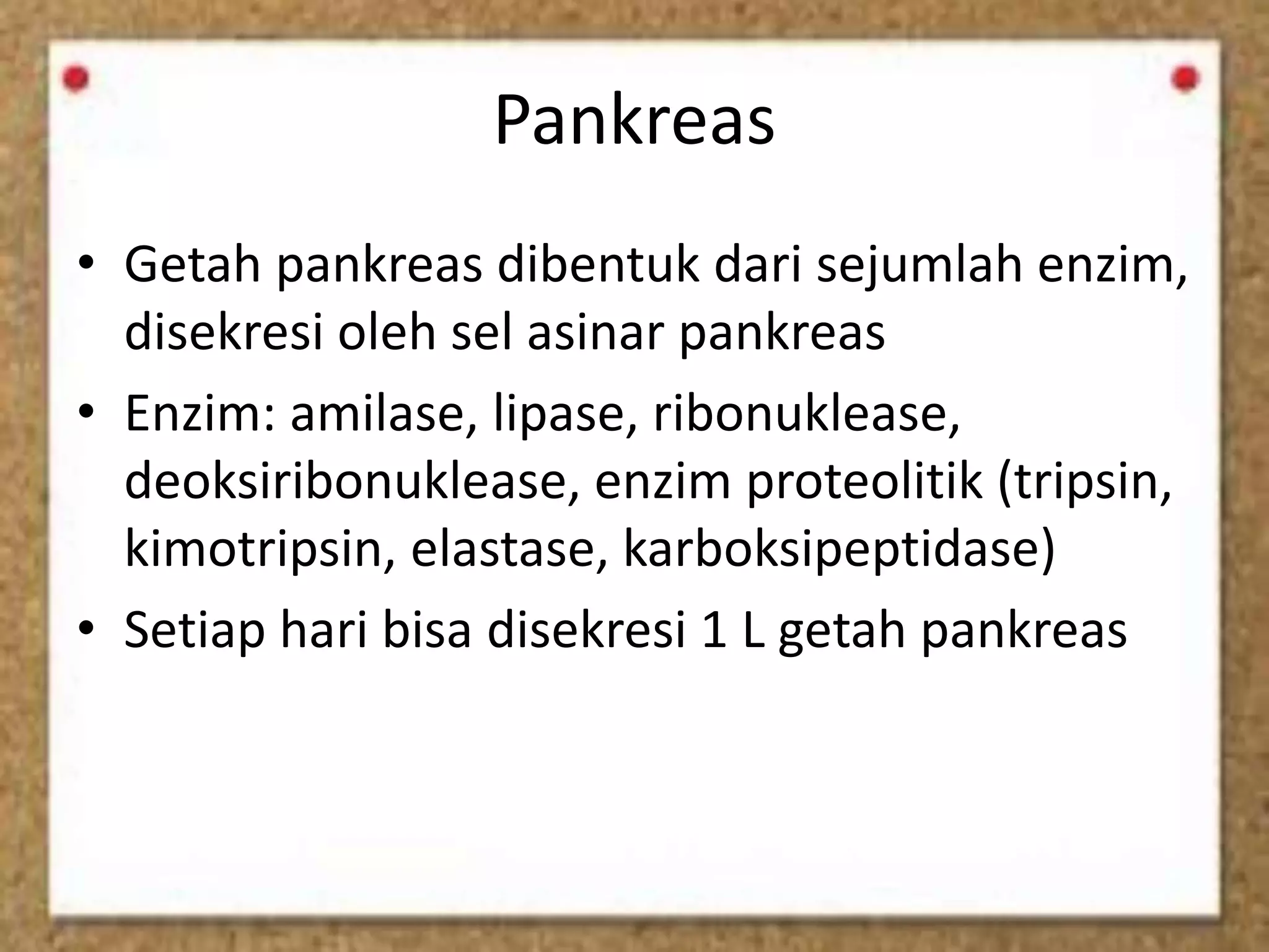 ANATOMI DAN FISIOLOGI PENCERNAAN.ppt