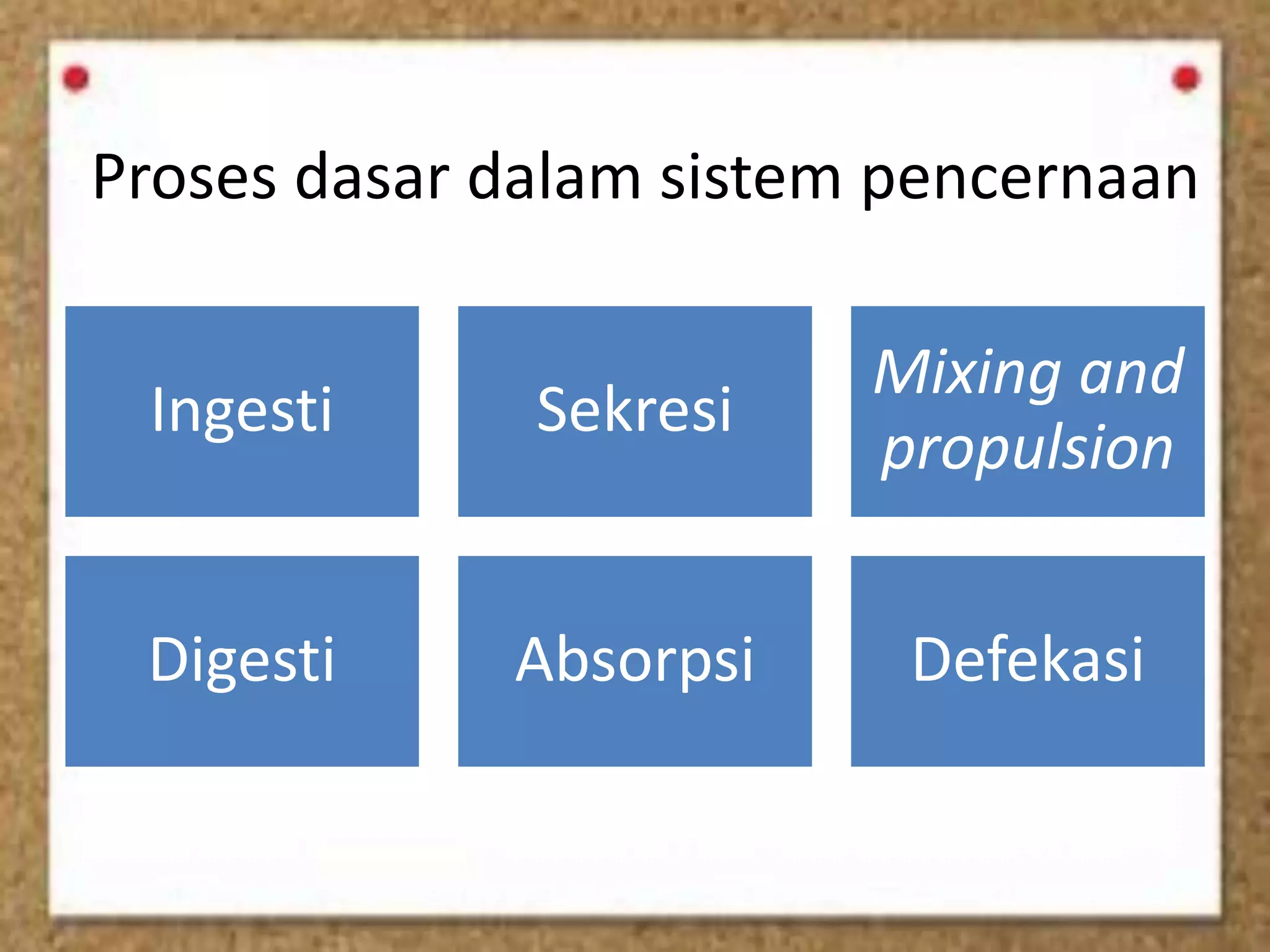 ANATOMI DAN FISIOLOGI PENCERNAAN.ppt