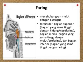 ANATOMI DAN FISIOLOGI PENCERNAAN.ppt