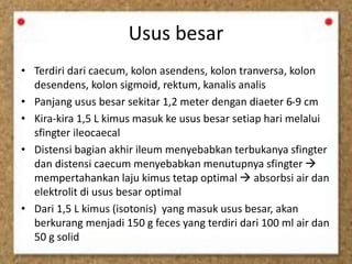 ANATOMI DAN FISIOLOGI PENCERNAAN.ppt