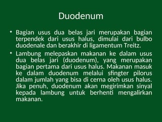 Anatomi dan Fisiologi Sistem Pencernaan Manusia | PPT