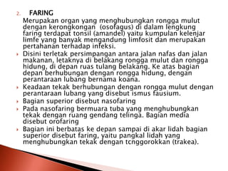 Anatomi dan fisiologi sist. pencernaan | PPTX