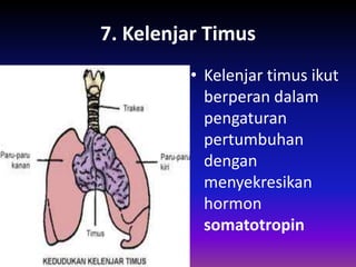 Anatomi dan fisiologi sistem endokrin | PPTX