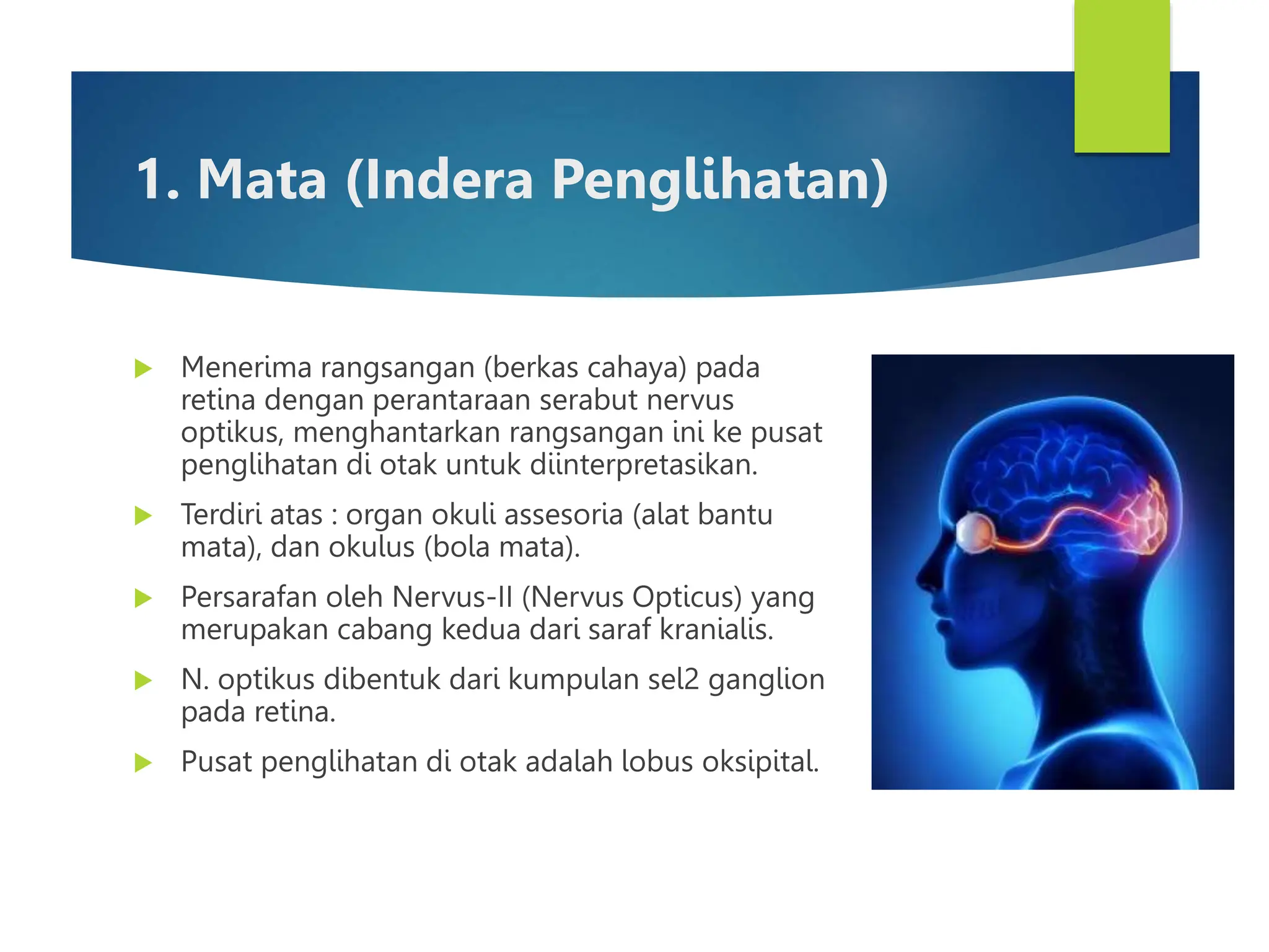 ANATOMI DAN FISIOLOGI SISTEM INDRA (SPECIAL SENSES).pptx