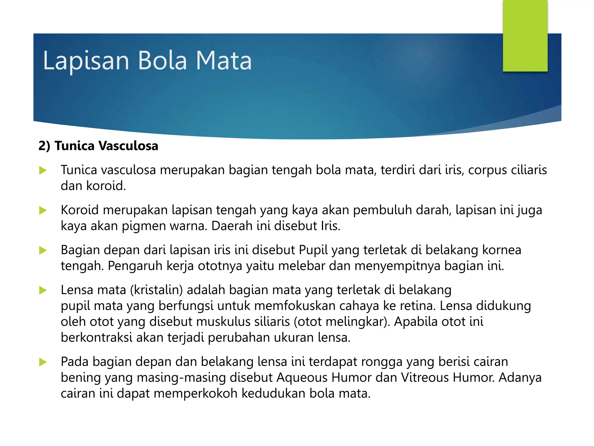 ANATOMI DAN FISIOLOGI SISTEM INDRA (SPECIAL SENSES).pptx
