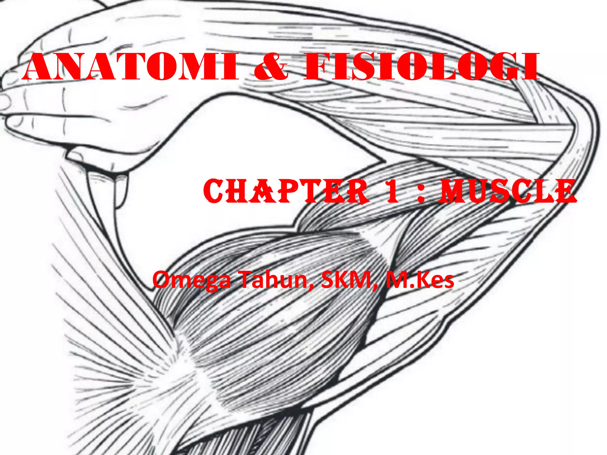 Anatomi dan fisiologi sistem otot | PPT