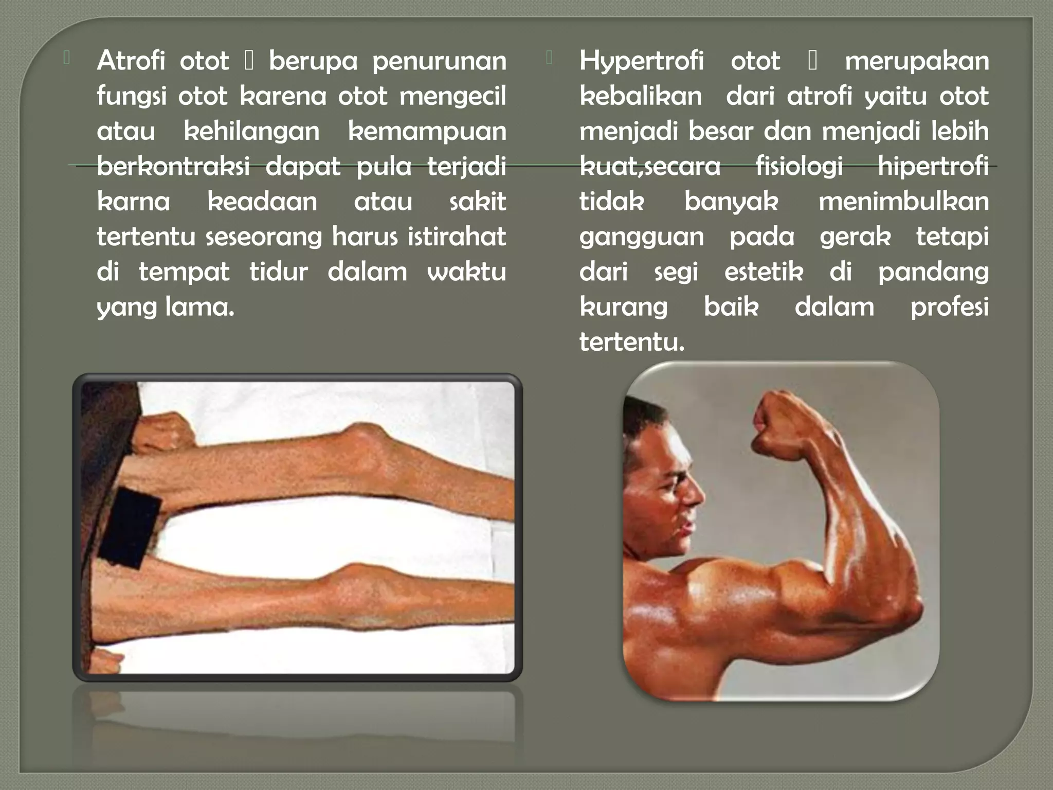 Anatomi dan fisiologi sistem otot | PPT