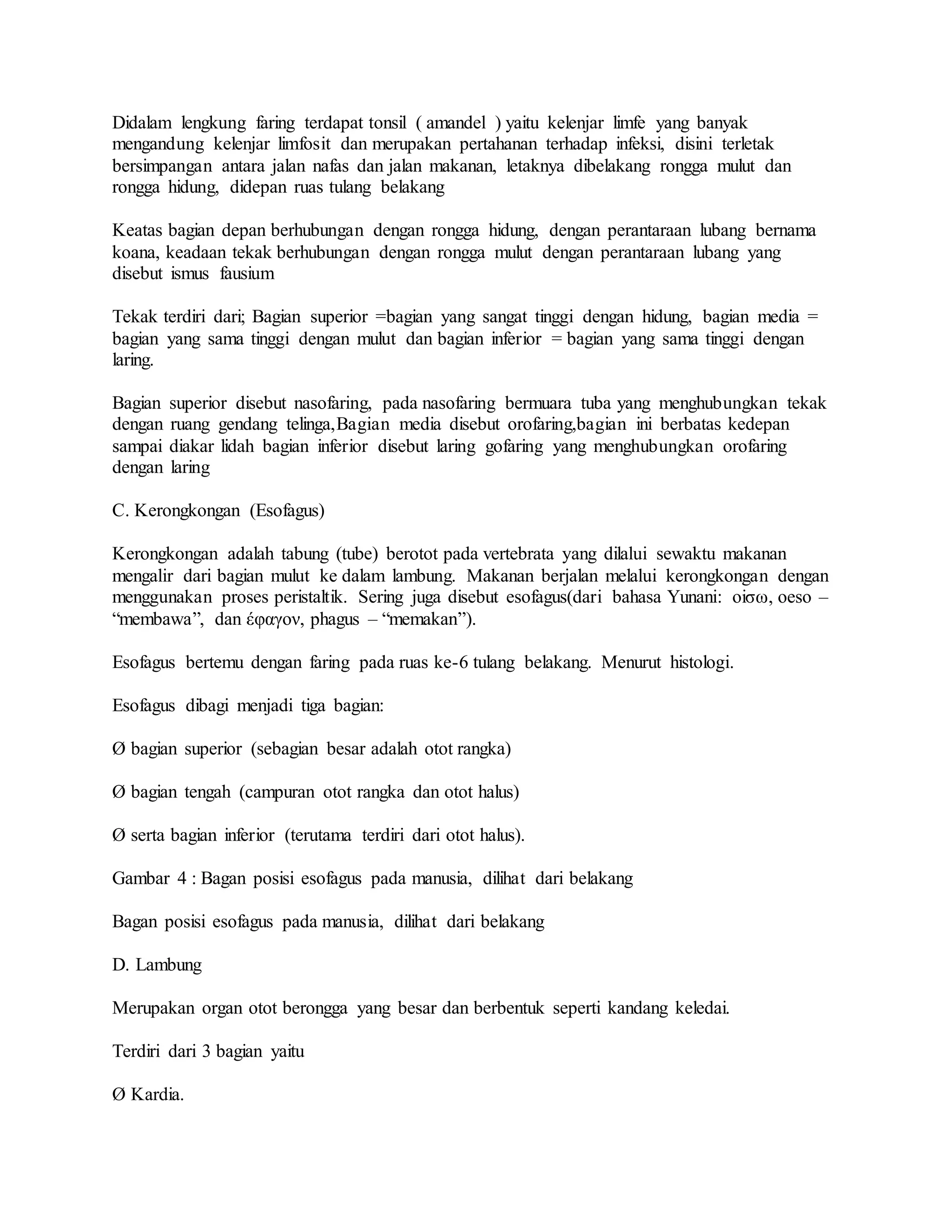 Anatomi dan fisiologi sistem pencernaan manusia | DOCX