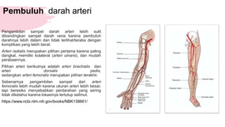 ANATOMI DAN FISIOLOGI SISTEM PEREDARAN DARAH.pptx
