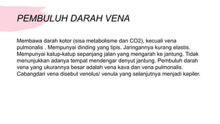 ANATOMI DAN FISIOLOGI SISTEM PEREDARAN DARAH.pptx