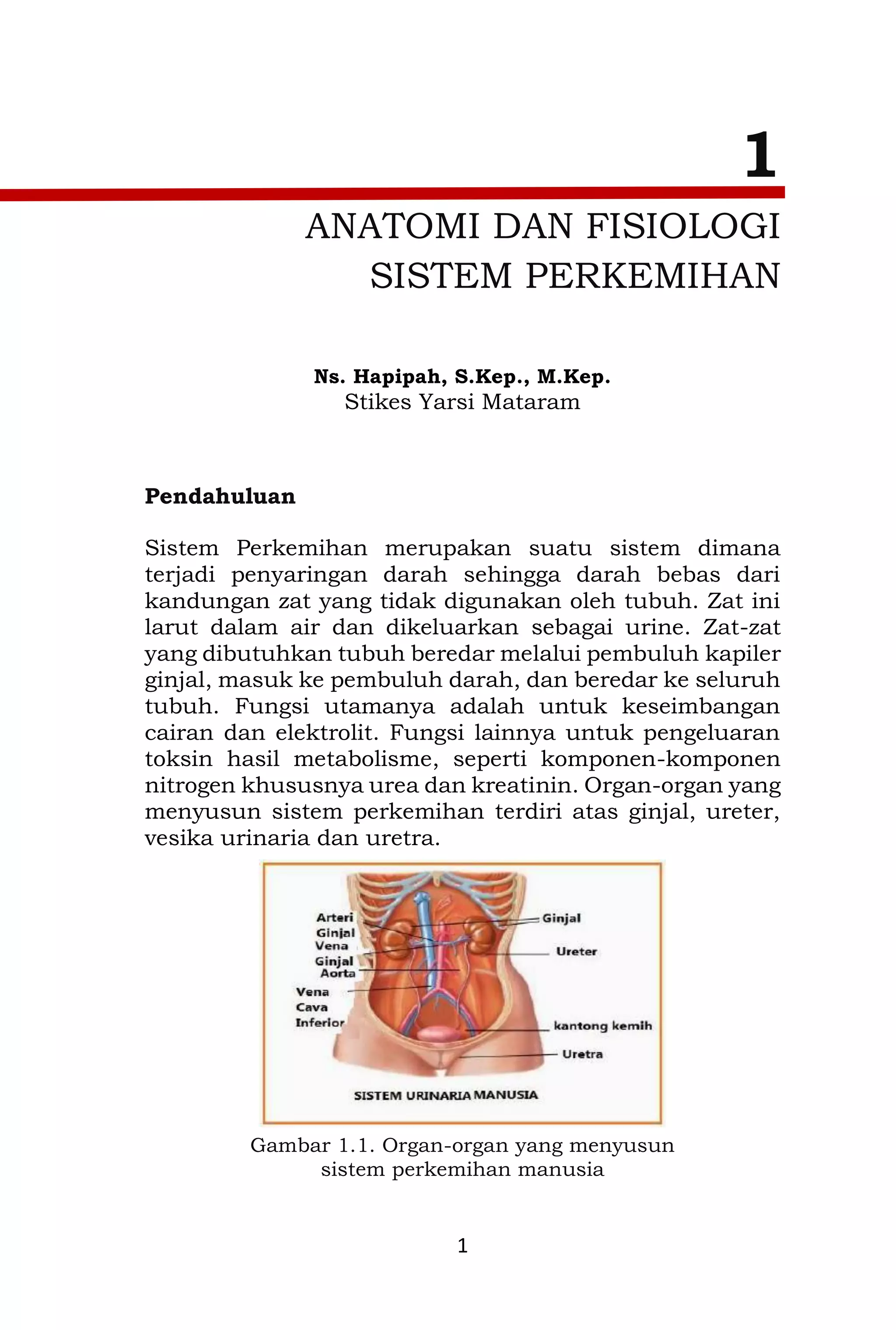 ANATOMI DAN FISIOLOGI SISTEM PERKEMIHAN-dikompresi (1).pdf