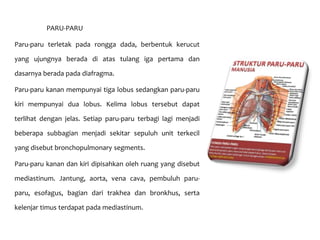 Anatomi dan fisiologi sistem pernapasan MANUSIA | PPTX