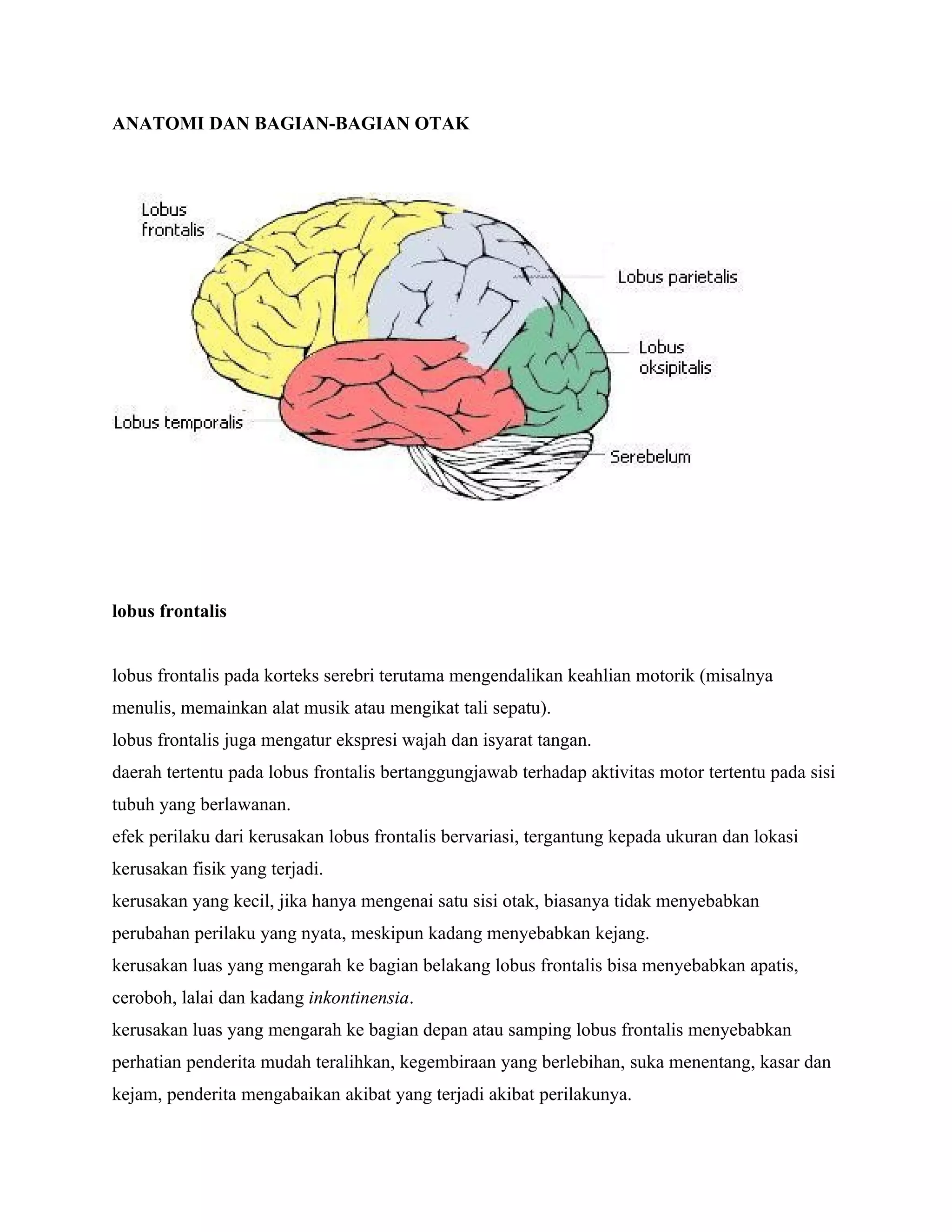Anatomi dan fisiologi sistem persarafan | PDF