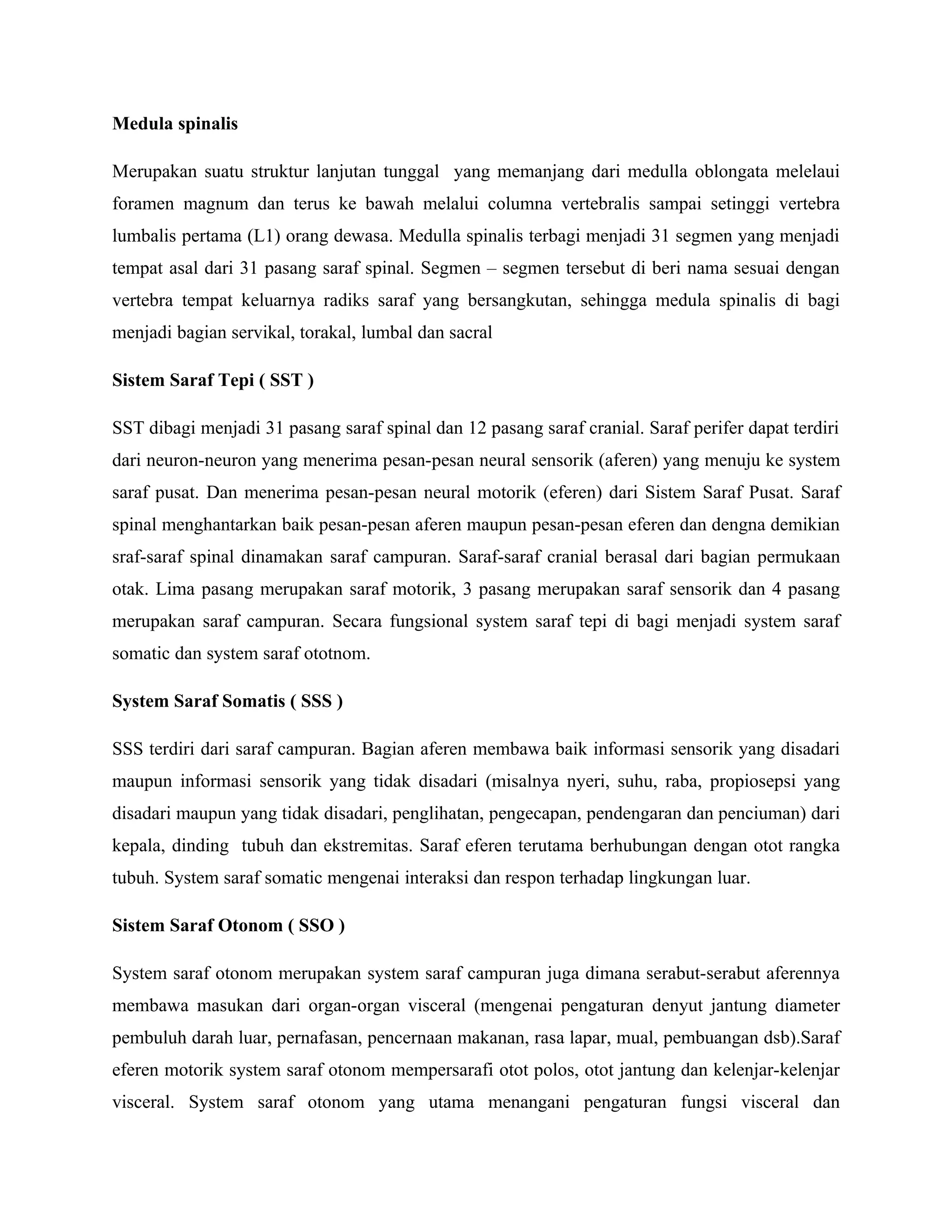 Anatomi dan fisiologi sistem persarafan | DOC
