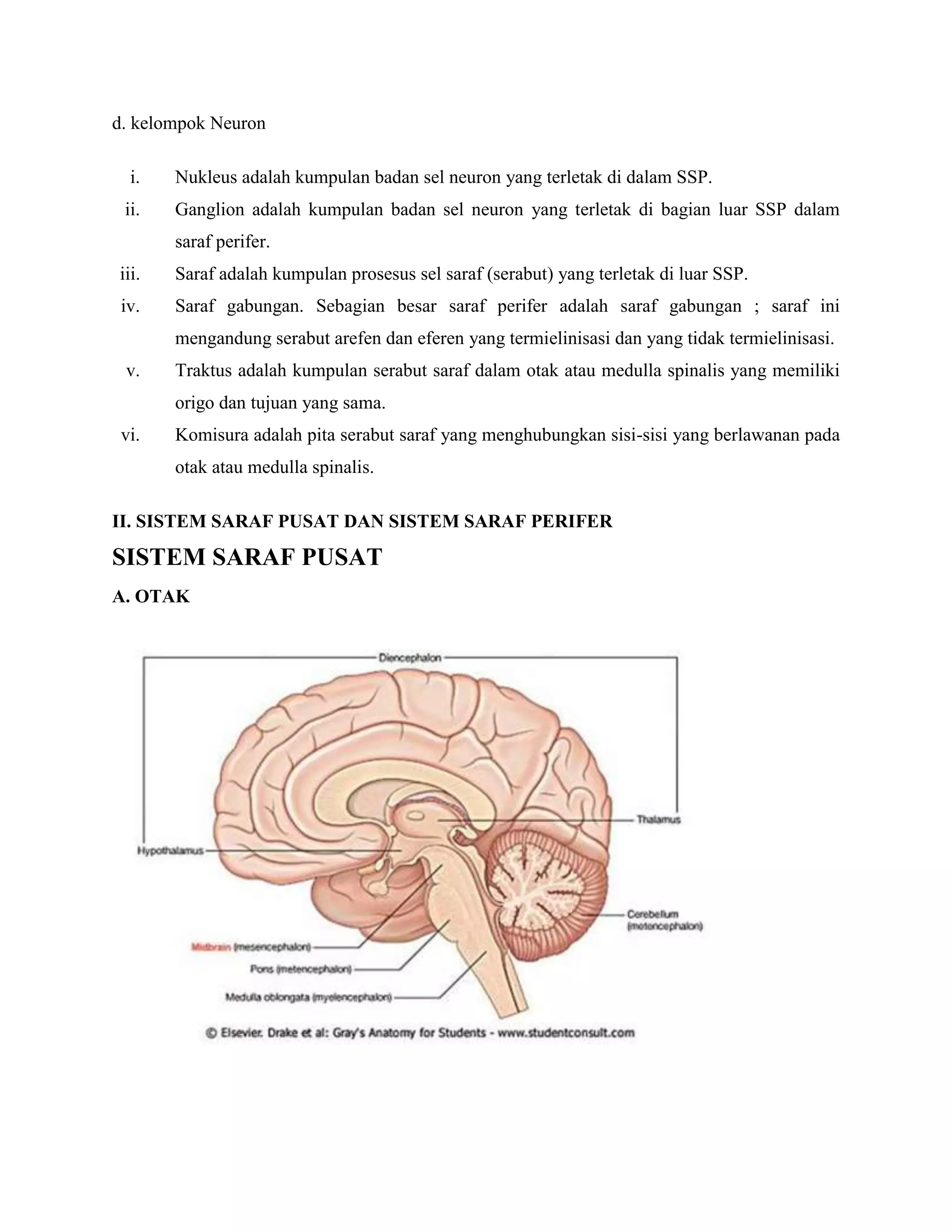 Anatomi dan fisiologi sistem persyarafan | DOCX