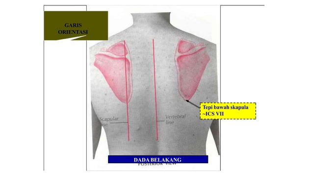 Anatomi dan fisiologi sistem respirasi.pptx