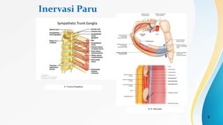 Anatomi dan fisiologi sistem respirasi.pptx